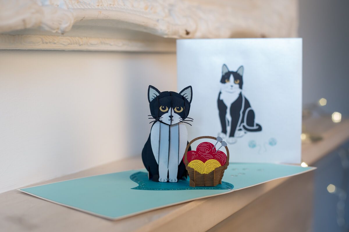 5 Best Gifts For Cat Lovers in 2025 | Best Christmas Gifts