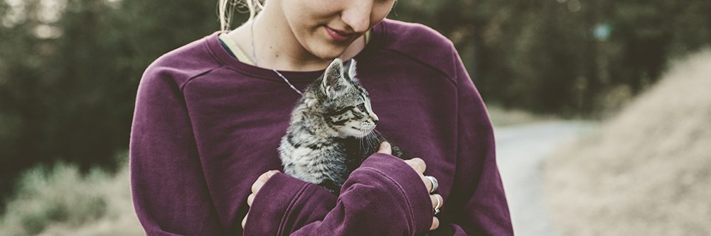 5 Best Cat Harnesses in 2022 | Reviews & Guide